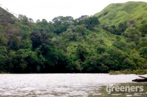 Kisah Para Penyelamat Hutan Jhanto - Laman 2 dari 2 - Greeners.Co