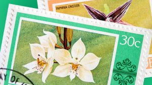 Kebun Raya Bogor Luncurkan Perangko Seri Anggrek 34 Provinsi - Greeners.Co