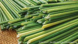 Pemuda dari Vietnam Ini Manfaatkan Rumput Liar untuk Sedotan - Greeners.Co