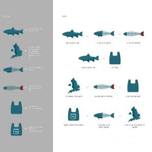 MarinaTex, Plastik Ramah Lingkungan Dari Limbah Industri Perikanan