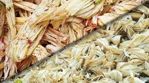 Kertas Kemasan dari Ampas Tebu dan Kulit Jagung - Greeners.Co