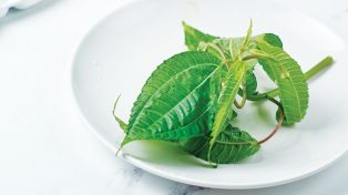 Pohpohan, Lalapan Berkhasiat dari Jawa Barat - Greeners.Co