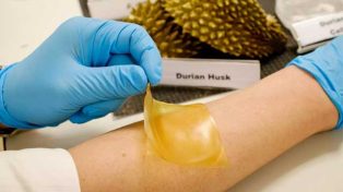 Perban Hidrogel dari Kulit Durian, Inovasi Baru dalam Dunia Medis ...