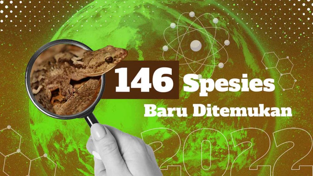 146 Spesies Baru Ditemukan Sepanjang Tahun 2022