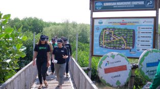 Lindungi Hutan Mudahkan Berdonasi Tanam Pohon secara Online