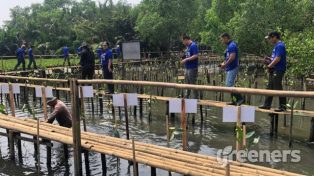 Suaka Margasatwa Muara Angke Belum Luput dari Sampah