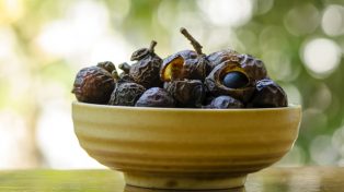 Buah Lerak Dimanfaatkan Sebagai Deterjen dan Insektisida Alami