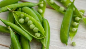 Kacang Polong Sumber Makanan yang Menyuburkan Tanah