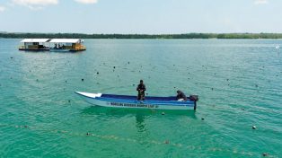 KKP Optimistis Tingkatkan Produksi Pembudidaya Rumput Laut