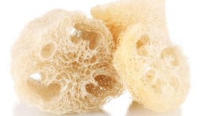 Mengenal Loofah, Spons Ramah Lingkungan yang Kaya Manfaat